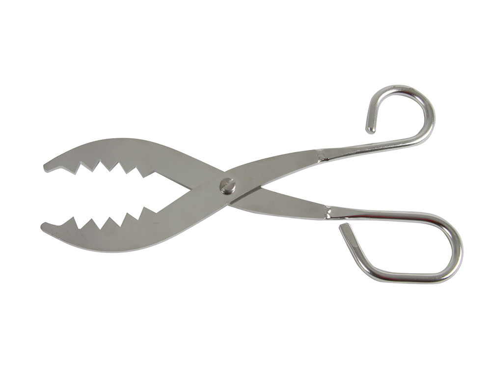 Pince inox Pike'n Bass à anguille et poisson-chat 250mm - Integral Pêche