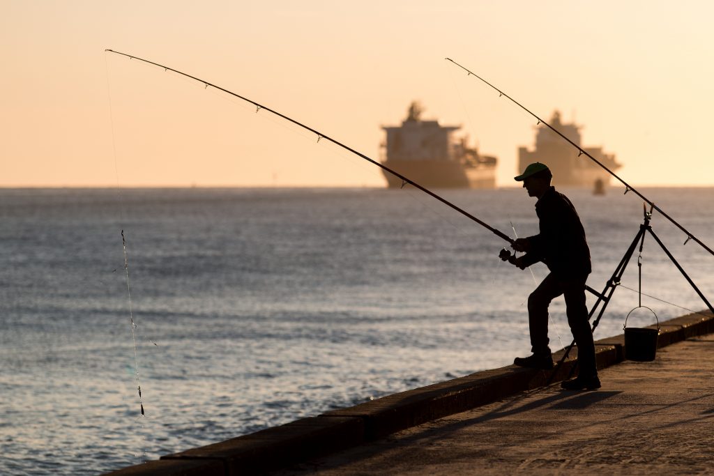 La technique de la pêche au coup - Blog Integralpeche