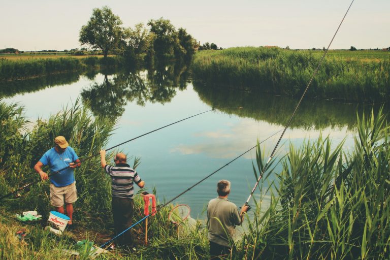 Pêche : les bonnes pratiques au bord de l’eau - Blog Integralpeche